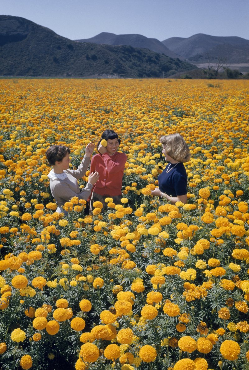 Americana | Nostalgic America