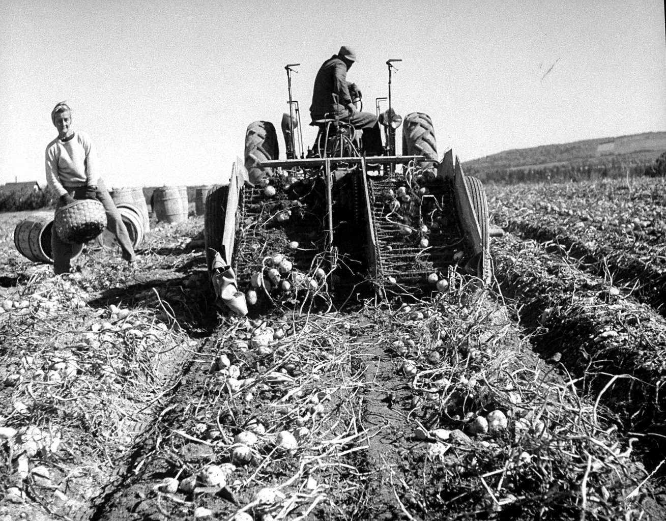 Americana | Nostalgic America